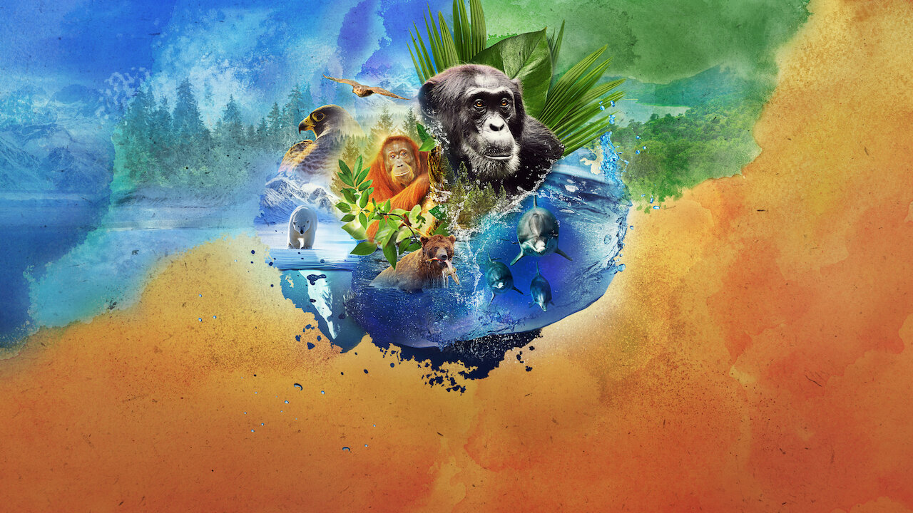 Le Règne animal : le documentaire animalier star de Netflix revient ...